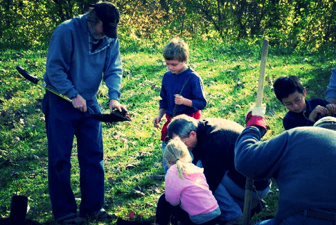 Tree Planting Service - Tree Service: B&B Tree Company & Stump Removal